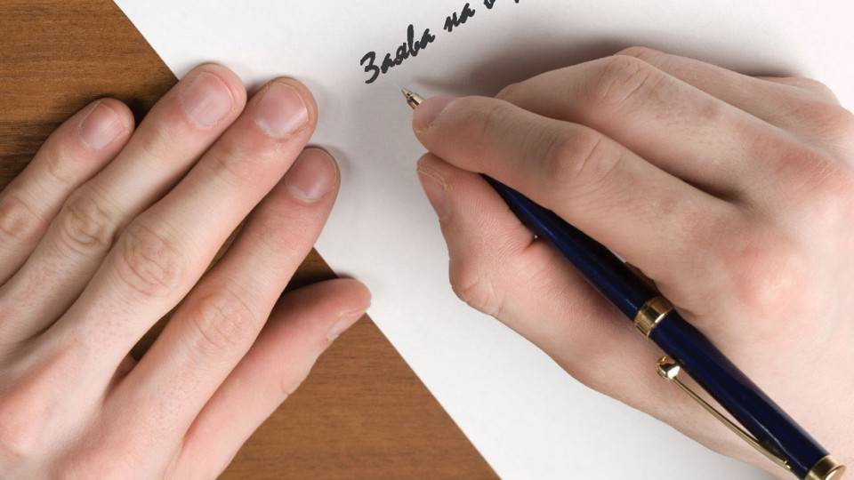 Vacation by schedule or by application: what is the difference and step ...